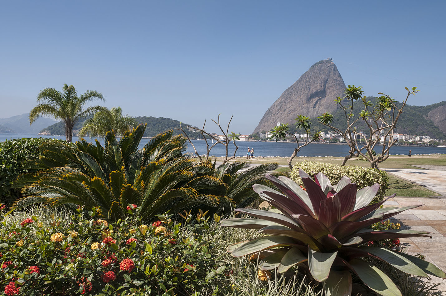 Parque do Flamengo recebe Festa do Japão neste fim de semana | VEJA RIO